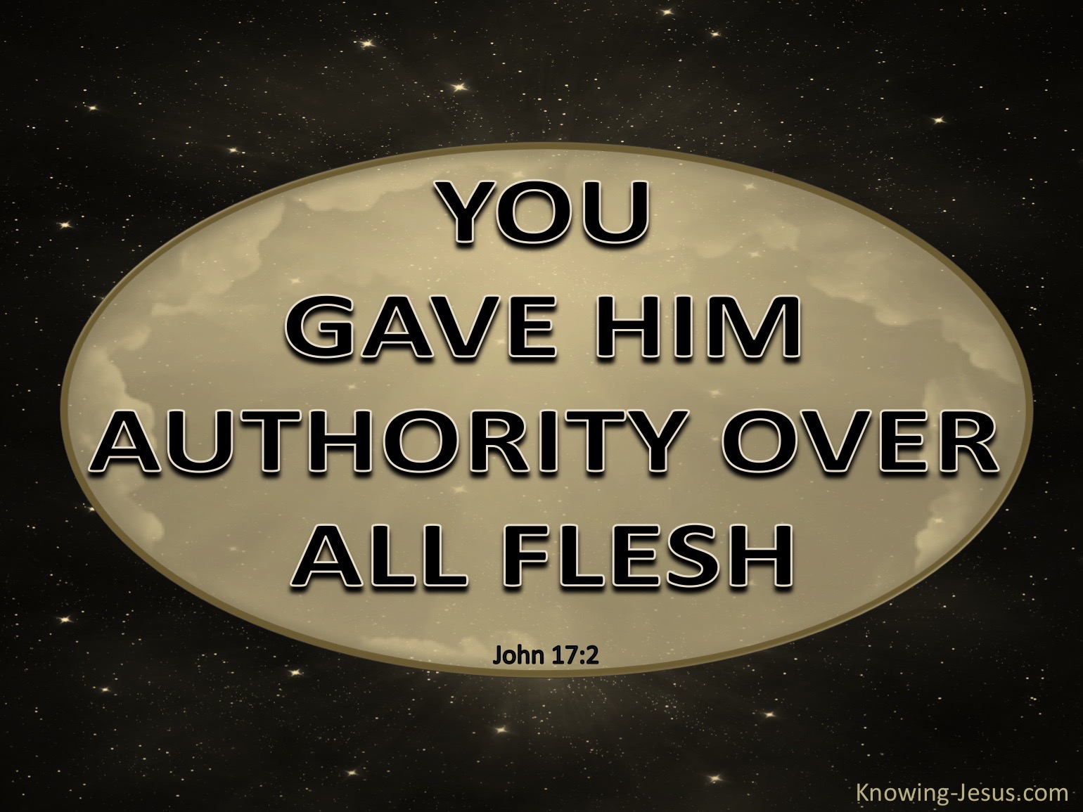 What Does John 17 2 Mean 
